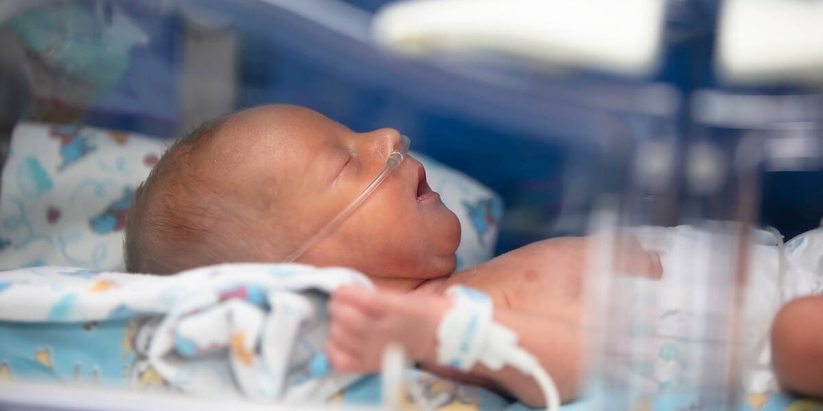Lab-grown brain model offers hope for premature babies | ICT&health