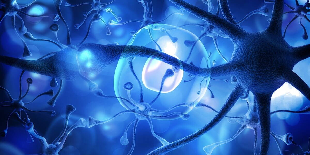 AI-enhanced scatterometry boosts 3D neuron imaging accuracy | ICT&health