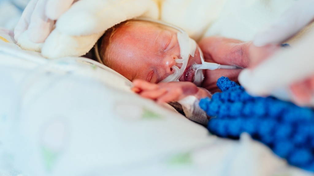 Gekweekt hersenmodel biedt hoop voor premature baby’s | ICT&health